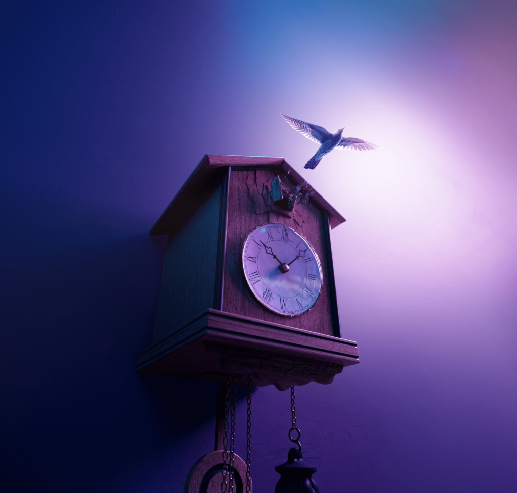 Thank You Network – ValidPath